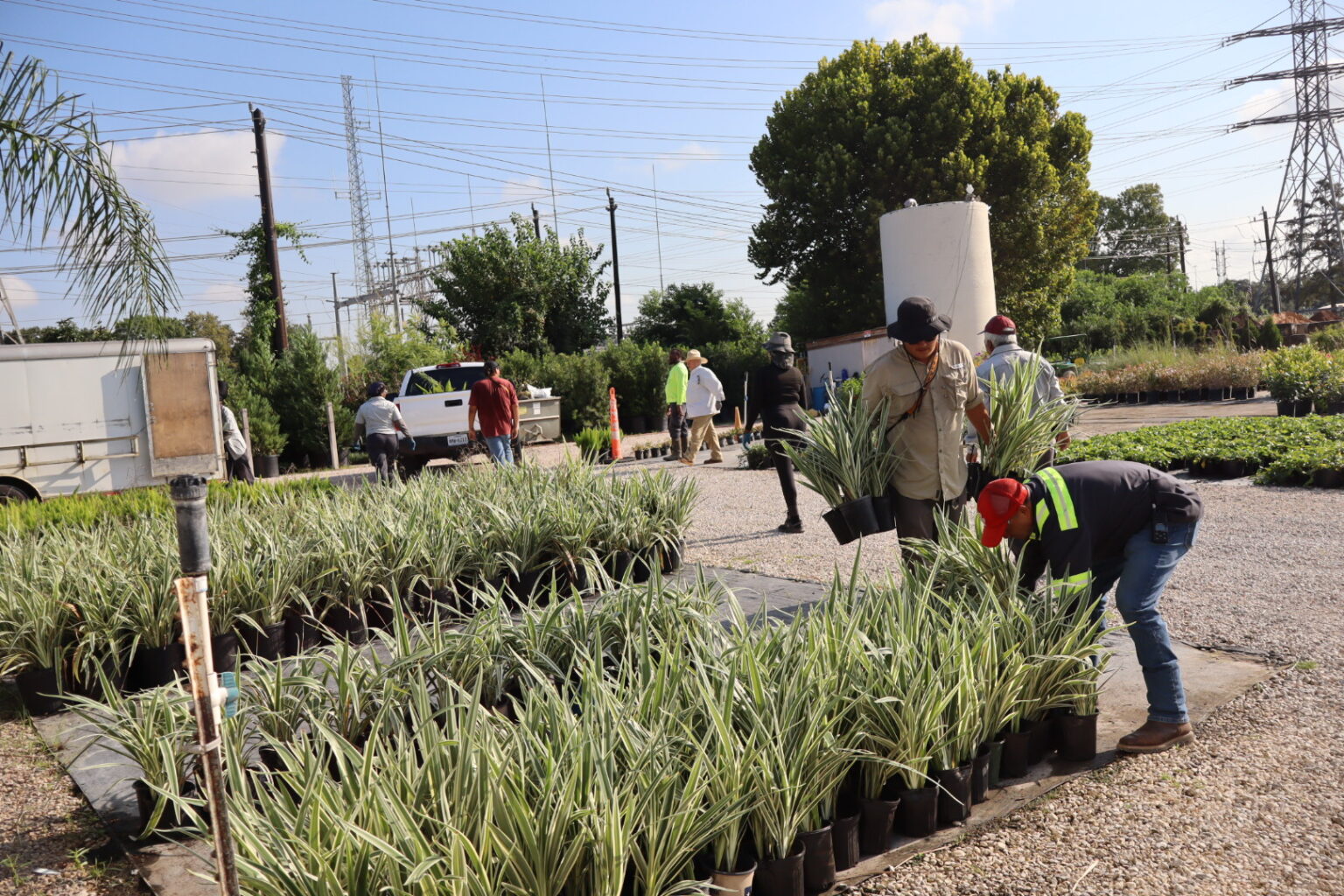 The Ground Up | Mulches Soils & Compost | Organic Products